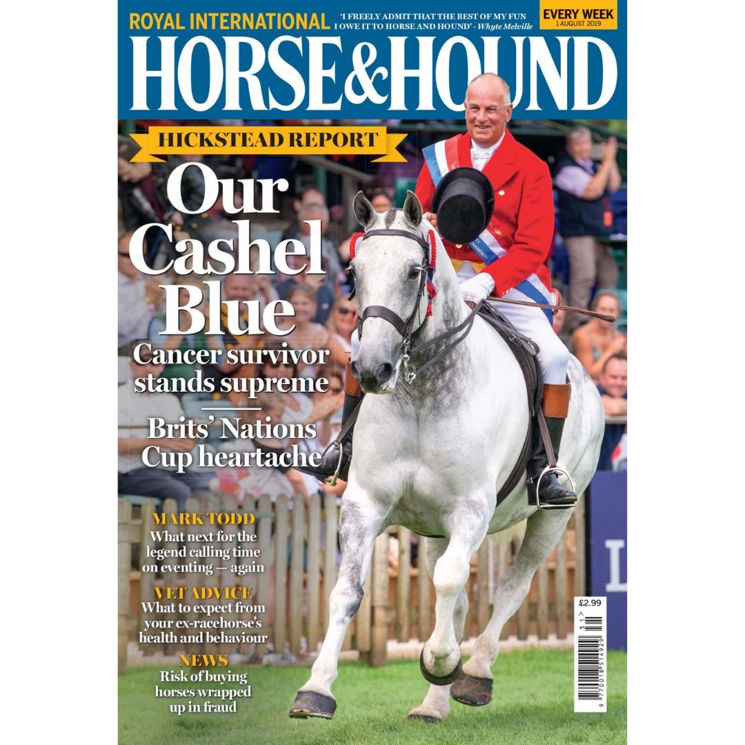 Horse and Hound – Tharos Ltd
